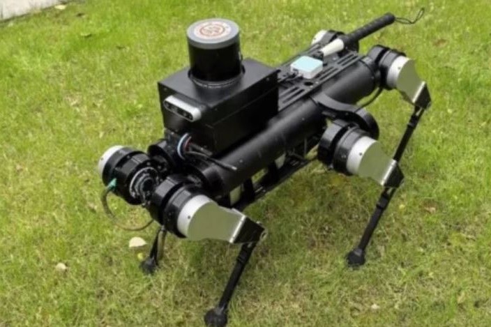 Robotic guide-dog substitute