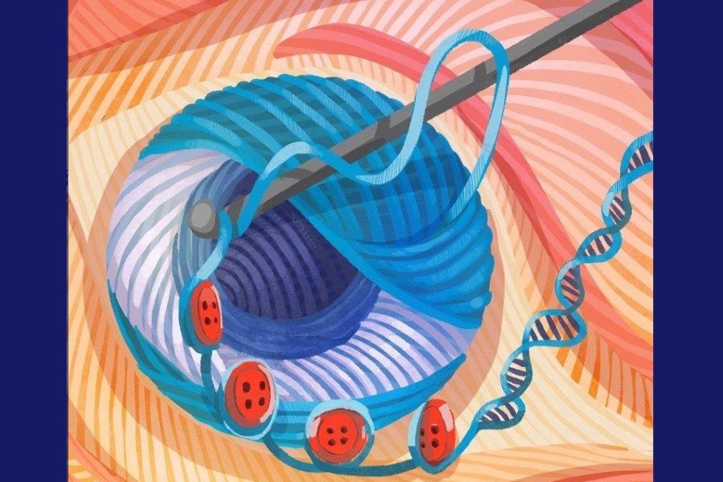 Retina genes’ development unveiled