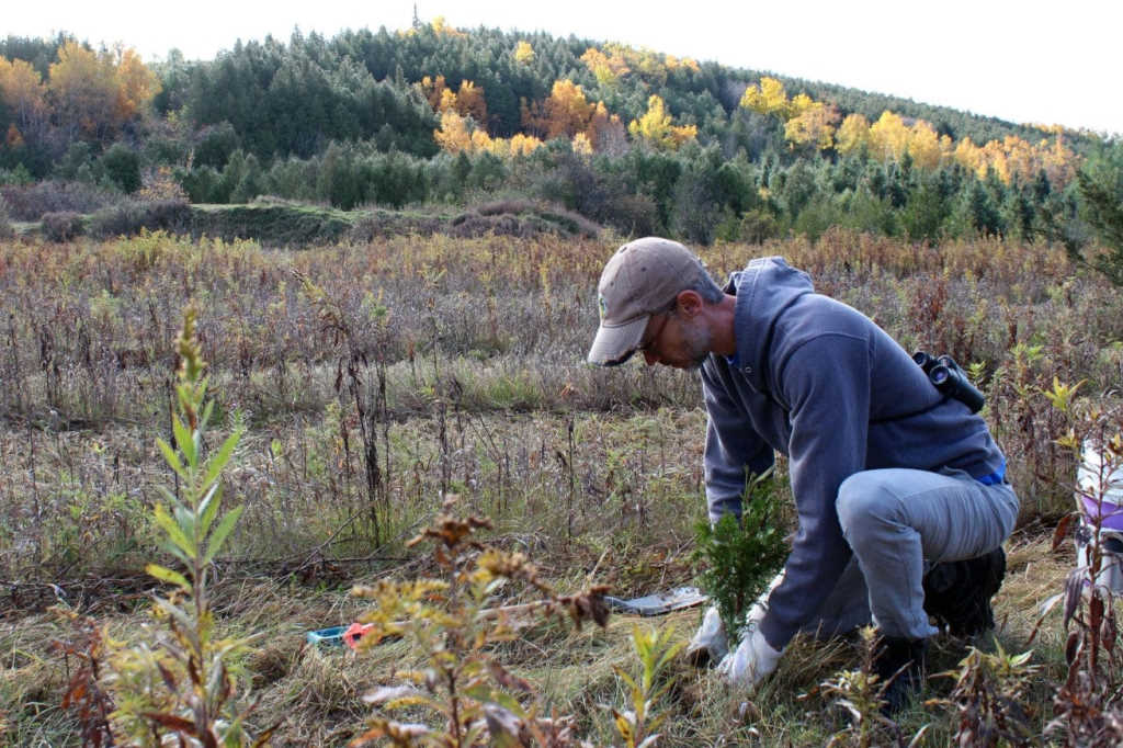 Project Green’s reforestation efforts ramp up